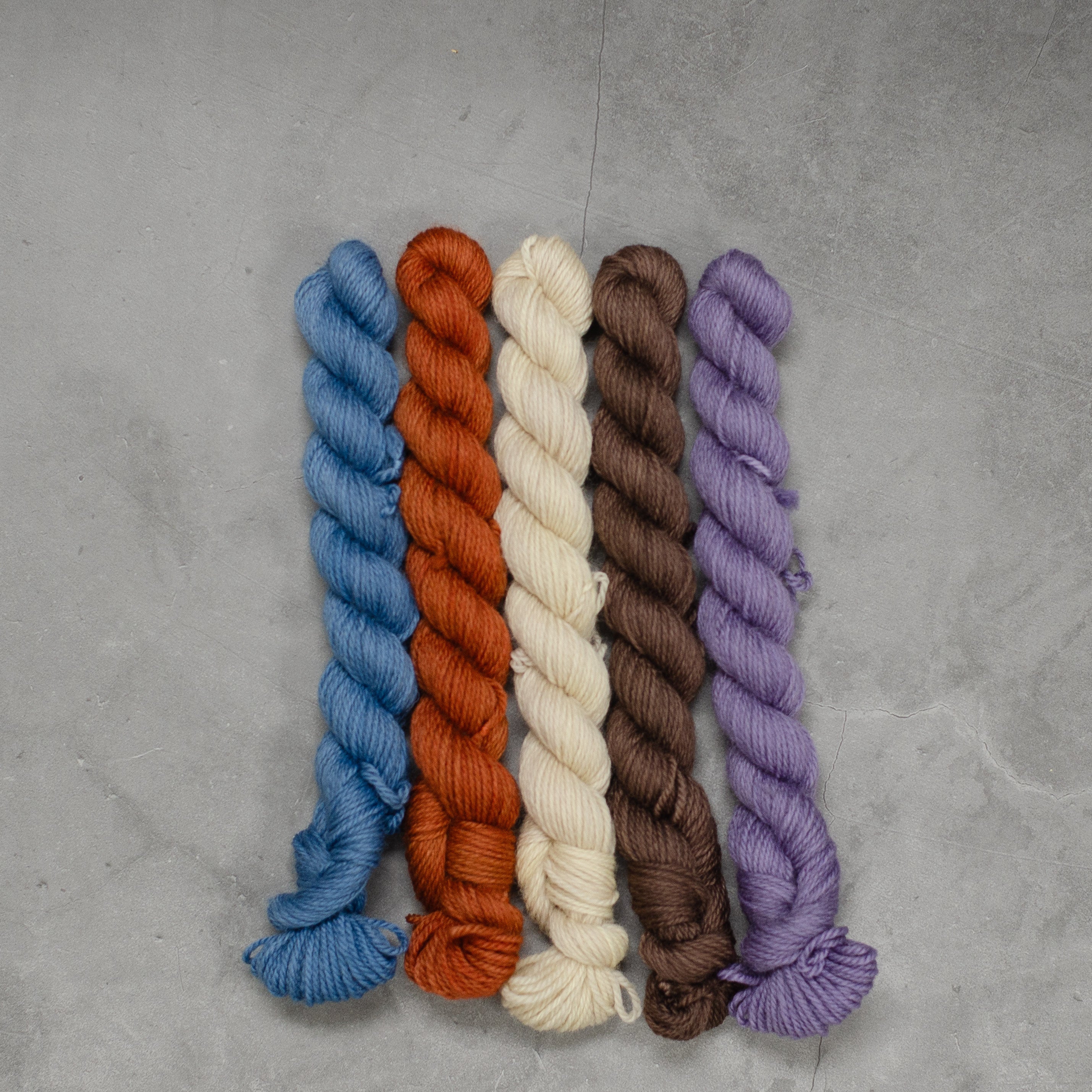 Fall Semester | Marie Cutie Mini Skeins – Plies & Hellhounds